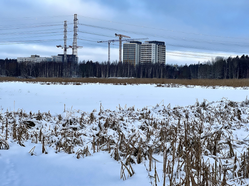 Talvinen, kylmä kuukausi, ruokinnan elämää - Viikkoraportti, viikot 45 ...